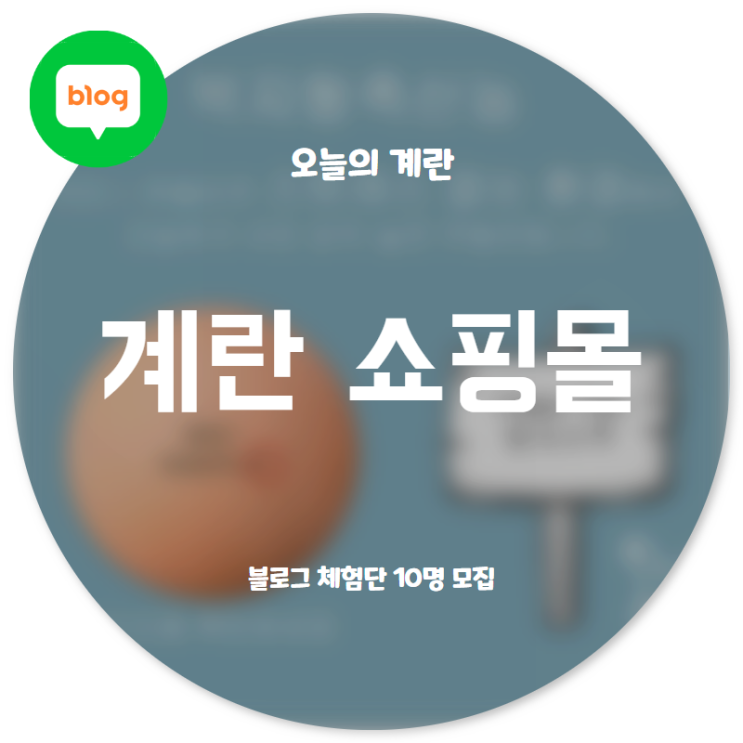 오늘의 배송 신선함을 유지하기 위해 아침산란 저녁배송을 고수하는 오늘의 계란 쇼핑몰 리뷰어 모집 네이버 블로그