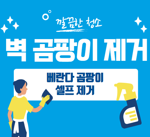 벽 곰팡이 제거 베란다 곰팡이 제거 셀프로 하기 생각보다 쉬워요 네이버 블로그