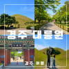 경주 대릉원 여행 대릉원 주차장 정보 및 포토존 정보 네이버 블로그