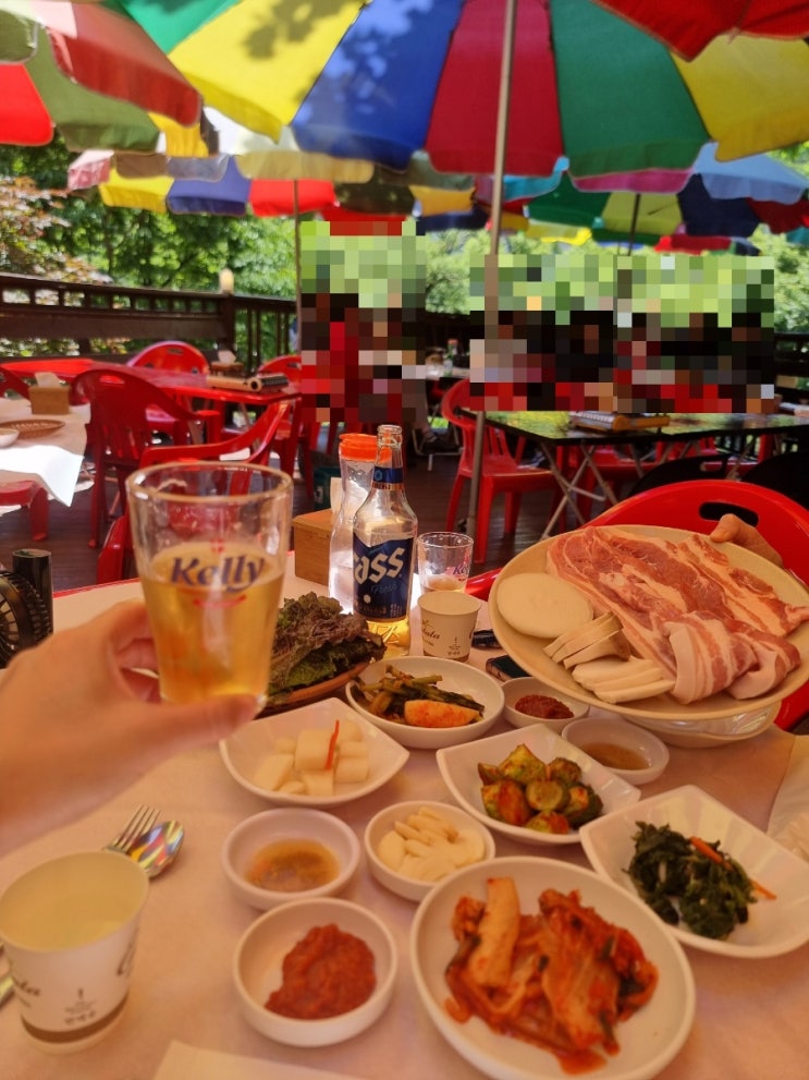 안양예술공원 싸리골 안양유원지 안양맛집 야외식당 능이백숙 삼겹살 네이버 블로그