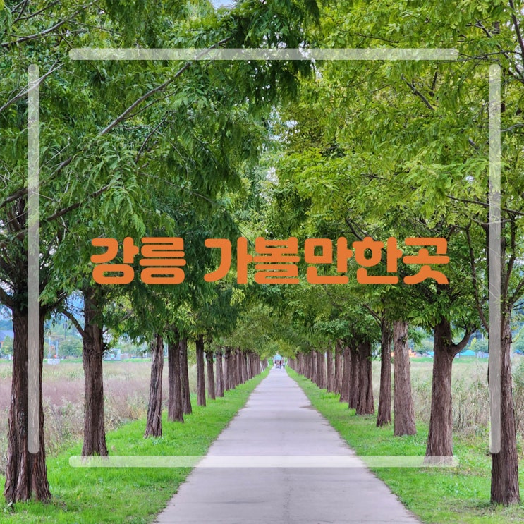 강릉 가볼만한곳 여행 코스 4곳 경포생태저류지 선교장 오죽헌 스카이베이호텔 네이버 블로그