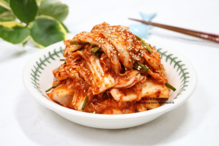 알배기배추 겉절이 만드는 법 알배추겉절이 양념 레시피 배추겉절이 네이버 블로그