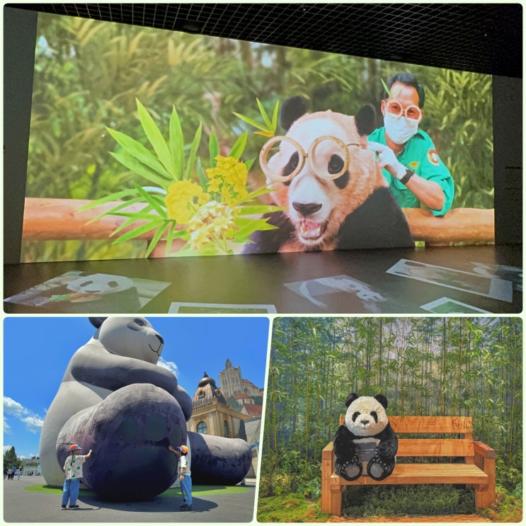 용인 볼거리 바오하우스 에버랜드 판다 전시관 경기도 가볼만한곳 네이버 블로그