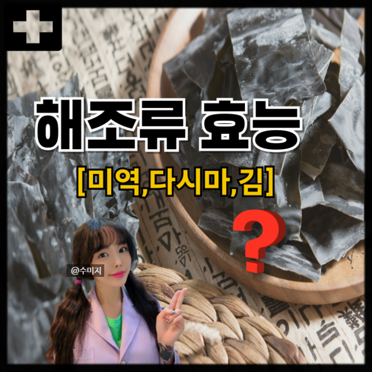해조류 종류 다시마 미역 김 효능 네이버 블로그