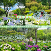 울산 장생포 고래문화마을 수국축제 위치 주차장 입장료 실시간 개화상황 네이버 블로그