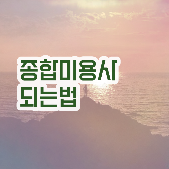 피부미용자격증 피부관리사자격증 준비 시작할 때 공부해야 하는 조건들은 네이버 블로그