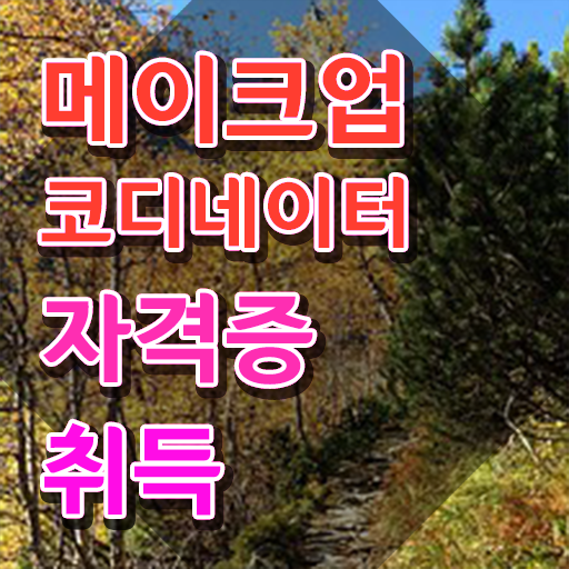 메이크업국가자격증 메이크업코디네이터 자격증 온라인 교육으로 합격한 전략 필수 정보 네이버 블로그