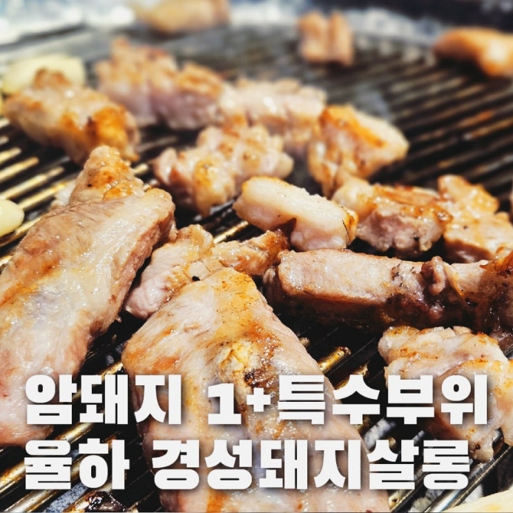 김해 장유 율하 고기맛집 카페거리 경성돼지살롱 네이버 블로그