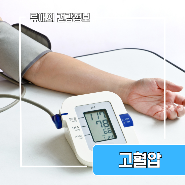 고혈압 증상 원인 정상혈압 범위 수치 고혈압에좋은음식 정보 네이버 블로그