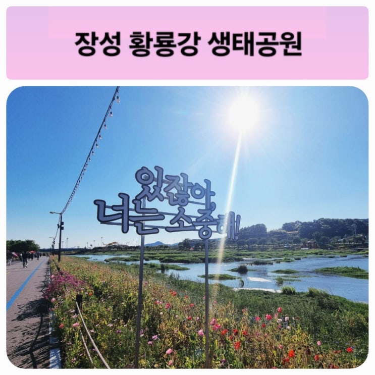 전남 장성 황룡강 생태공원 광주근교 아이와함께 가볼만한곳 뱃나드리축제 후기 네이버 블로그
