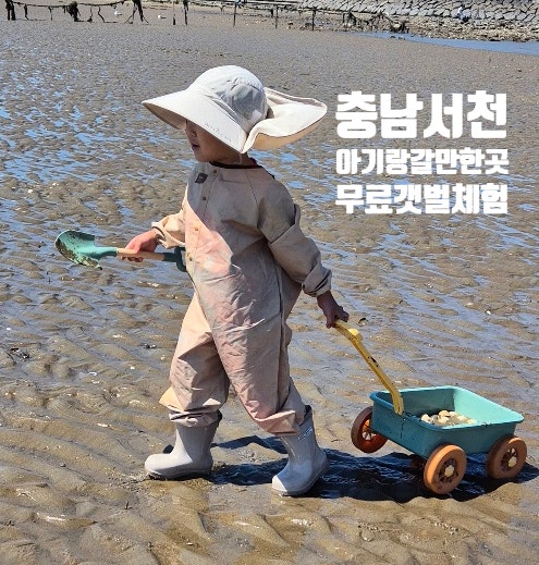 서천 아이랑 무료 갯벌체험 주차꿀팁과 필수 준비물 네이버 블로그