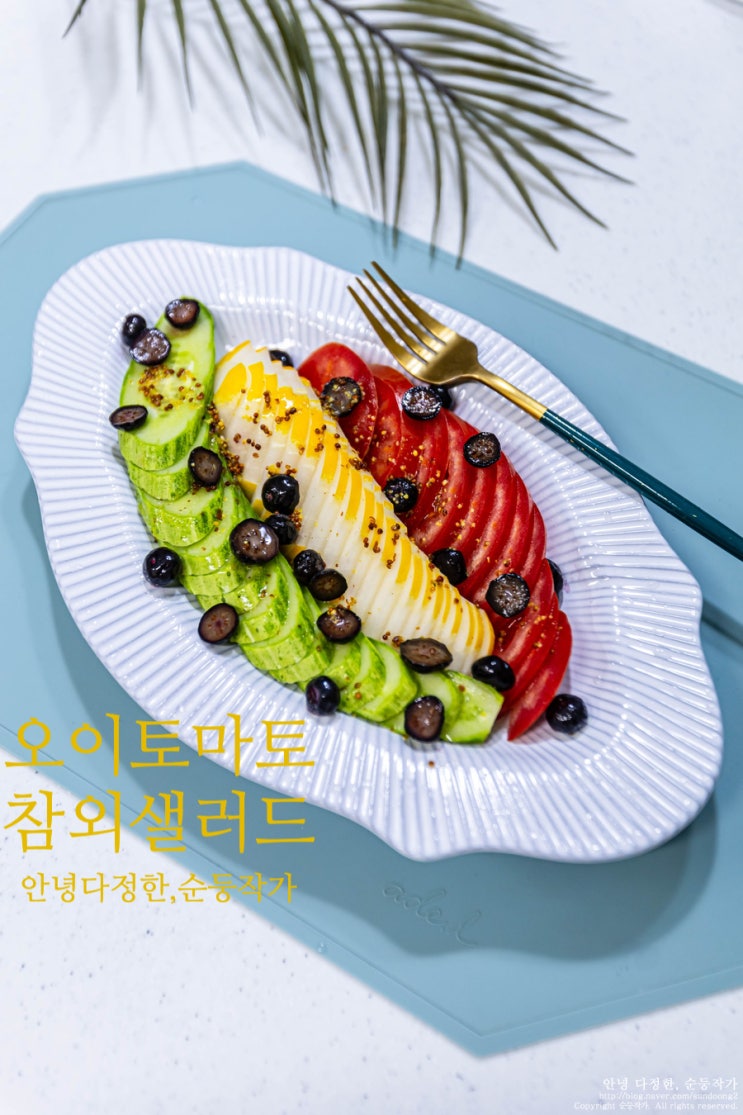 박나래 참외샐러드 다이어트 샐러드 레시피 오이 토마토 참외샐러드 드레싱 만들기 네이버 블로그