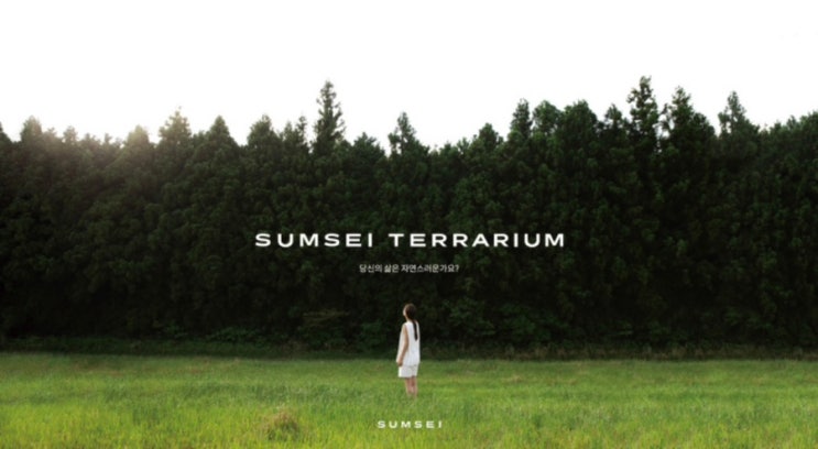 성수 - 섬세이 테라리움(sumsei terrarium) 체험, 데이트 전시관 /내돈내산, 솔직후기 : 네이버 블로그