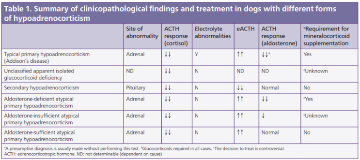 Hypoadrenocorticim in dog : 네이버 블로그