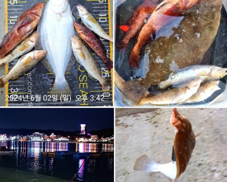 서해바다 태안 만리포 해수욕장 방파제 원투낚시 우럭 도다리 노래미 Ft 채비와 낚시포인트 물때 네이버 블로그