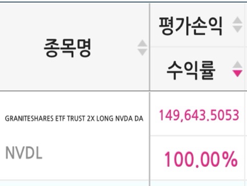 240606 엔비디아2배 NVDL 수익률 100% 달성 : 네이버 블로그