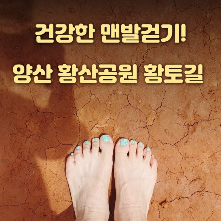 부산 근교 가볼 만한 곳 건강한 맨발걷기 산책이 가능한 양산 황산공원 황토길 주차 및 꿀팁 황산 맨발로 네이버 블로그