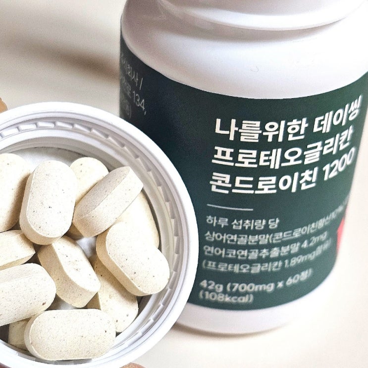나를 위한 데이씽 프로테오글리칸 콘드로이친 1200 네이버 블로그