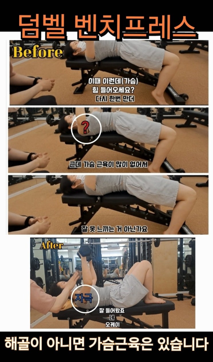 울산 피티 필라테스 덤벨 벤치 프레스 시 가슴 자극 전and후 영상 네이버 블로그