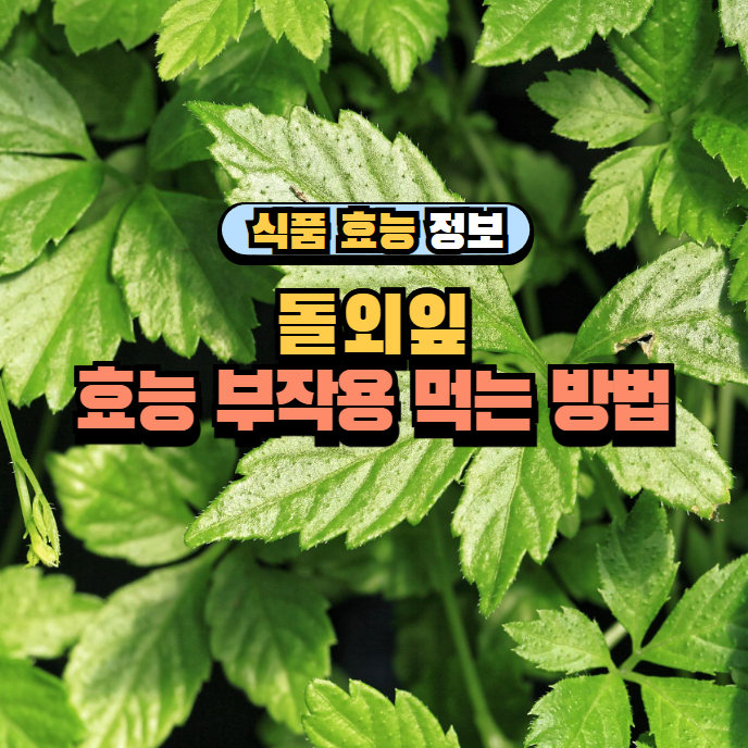 돌외잎 추출물 다이어트 효능 효과 부작용 먹는 방법 네이버 블로그