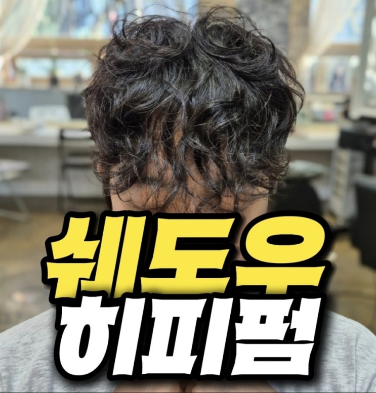 2024 여름 유행머리 남자 쉐도우펌feat 소프트 베이비펌 히피펌 3가지 남자펌 믹스 네이버 블로그