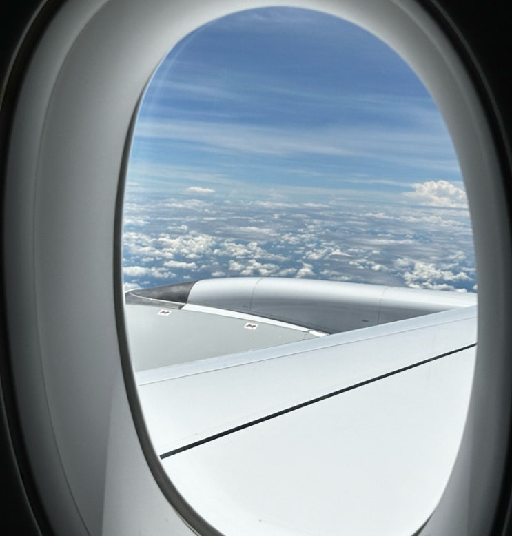 타이항공 TG659 (A350-900) 탑승 후기 - 방콕 여행 2024 1일차 : 네이버 블로그