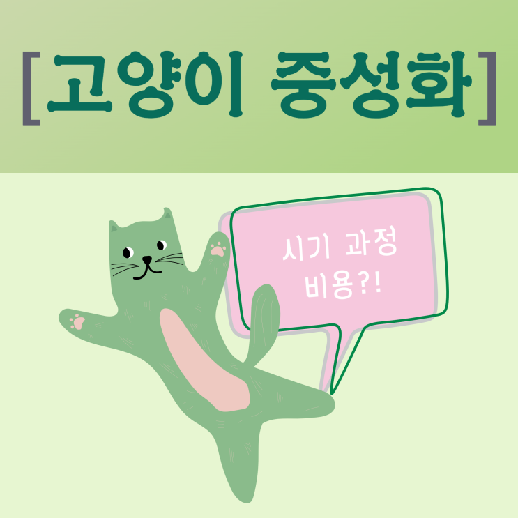 고양이 중성화 수술 준비 시기and비용and과정and준비물and후 관리 네이버 블로그