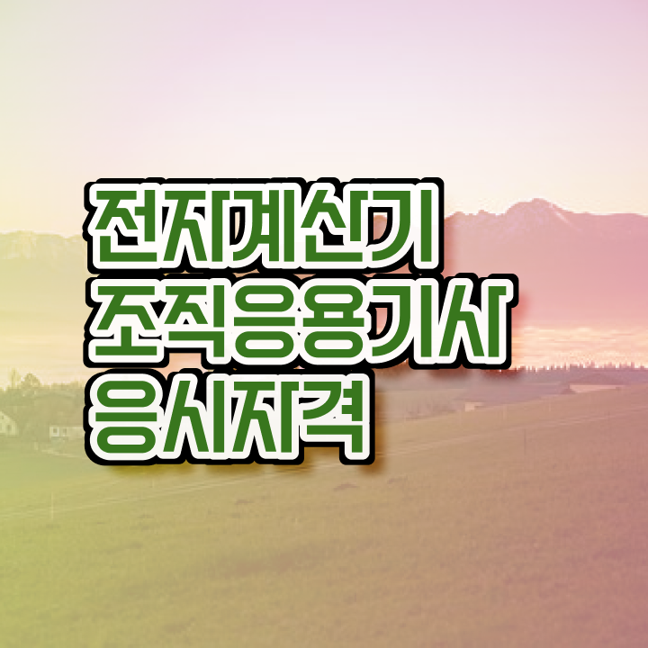 전자계산기조직응용기사 시험응시자격 독학으로 단기간에 준비한 비법 네이버 블로그