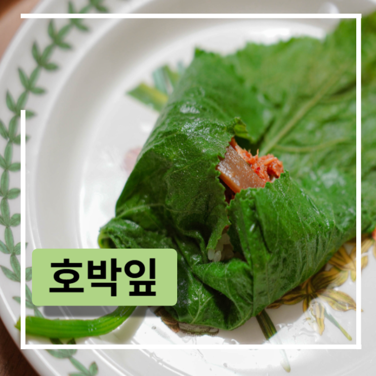 여름철 보양 재료 호박잎 효능 영양성분 섭취전 주의사항 : 네이버 블로그