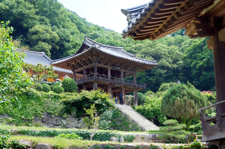 영주여행 부석사 무량수전 배흘림 기둥에 기대서서 영주 가볼만한 곳 네이버 블로그