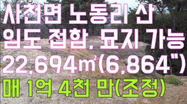 강릉시 사천면 임야 산 묘자리 묏자리 묫자리 묘지 산소자리 분묘 임도 접 매매 송이 능이 산마늘 명이나물 네이버 블로그