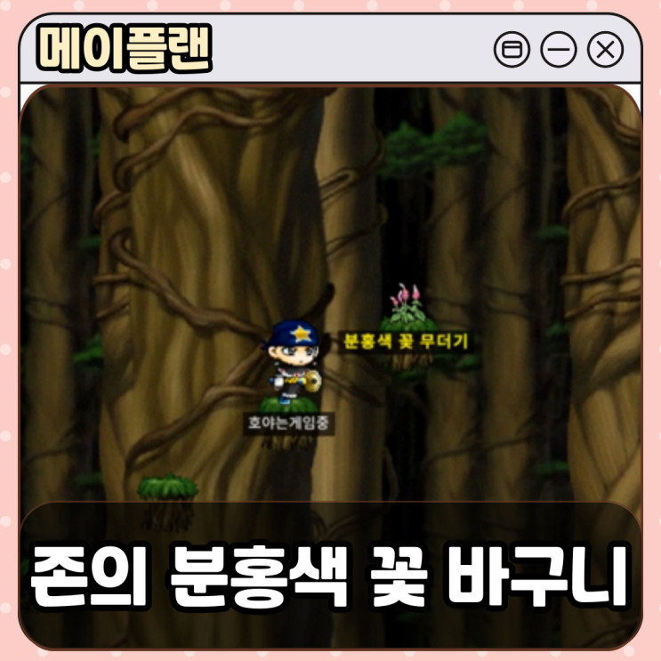 존의 분홍색 꽃 바구니 메이플랜드 끈기의 숲 퀘스트 공략 메랜 네이버 블로그