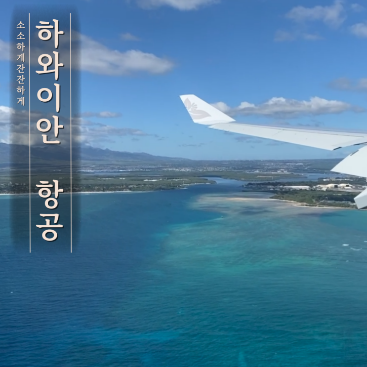 하와이안항공 타고 하와이신혼여행 1편 하와이취향노선 항공권가격 연착 수화물 좌석 정보 네이버 블로그