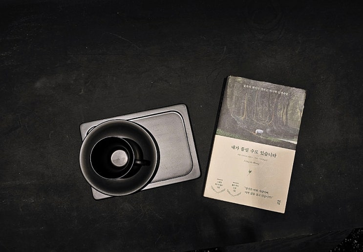 [재독]비욘 나티코 내가 틀릴 수도 있습니다. : 네이버 블로그