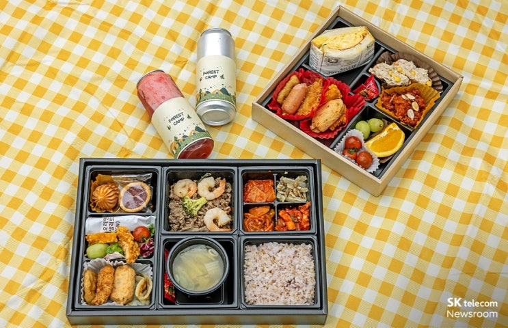 스페셜 T skt 숲캉스 에버랜드 피크닉 후기 feat. 고집있는 10년 장기고객 : 네이버 블로그