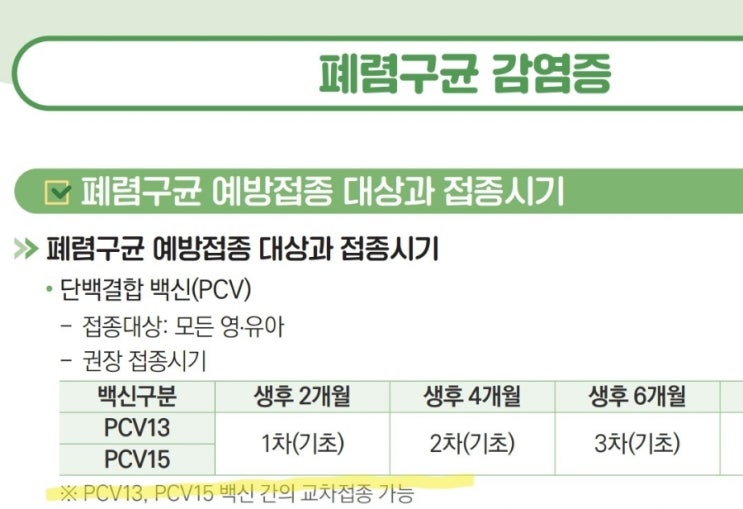 폐렴구균 2차 오접종 15가 13가 예방접종 교차접종 확인하기 15가맞고 13가 맞는 경우 4개월아기 예방접종 네이버 블로그