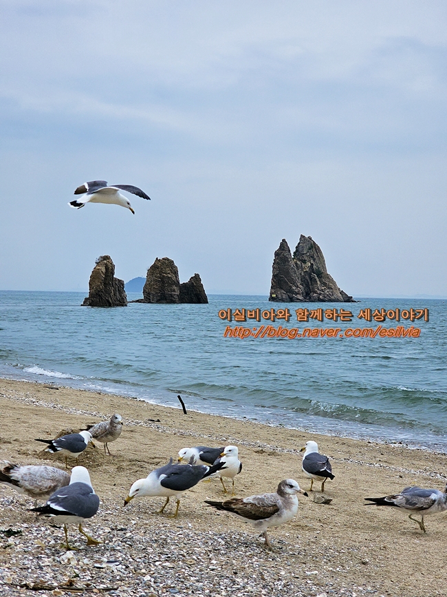 경기도 화성 가볼만한곳 제부도 해수욕장 매바위 카페 워터워크 네이버 블로그
