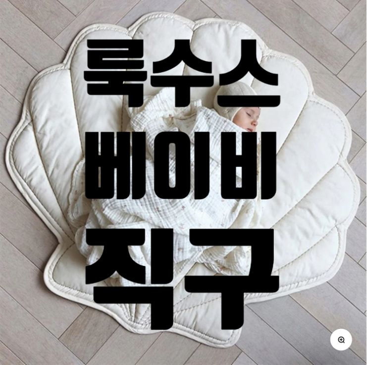 룩수스 베이비 직구 방법 및 할인 꿀팁 이유식 식기 리우드 콩제슬레드 오이오이 캠캠코펜하겐 무쉬 네이버 블로그