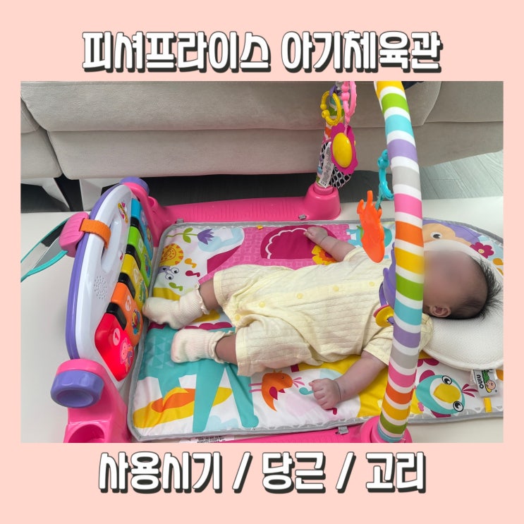 2개월 아기 피셔프라이스 아기체육관 사용시기당근고리 네이버 블로그