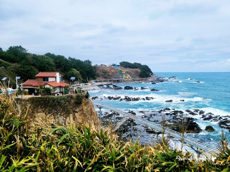 울진 여행 코스 죽변 등대공원 드라마 폭풍속으로 세트장 하트해변 네이버 블로그