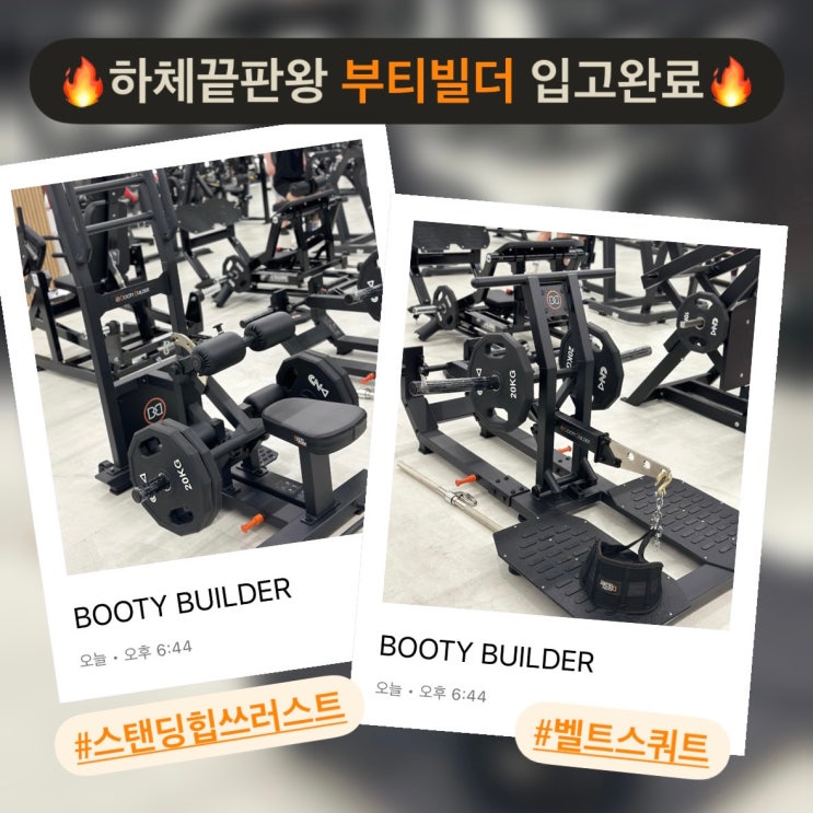 일산주엽헬스장휘트니스칸 New 따끈따끈 하체끝판왕 부티빌더 스탠딩힙쓰러스트 벨트스쿼트 입고완료🙆🏻 네이버 블로그