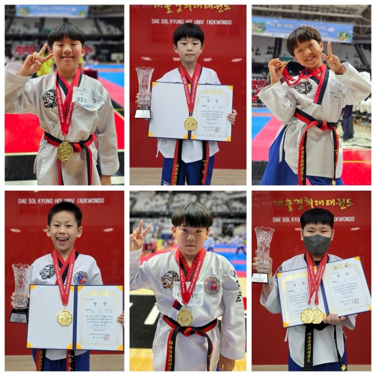 정자동 태권도 경희대 대솔태권도 수원 정자동 태권도 장안구 태권도 대솔태권도 제1회 수원시 태권도 한마당 네이버 블로그