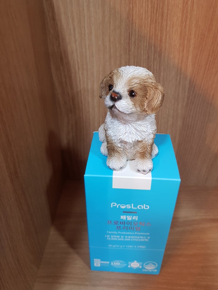프로바이오틱스 유산균 섭취 후기 변비 해결에 효과 만점 네이버 블로그