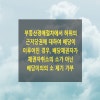 부동산경매절차에서 허위의 근저당권에 대하여 배당이 이루어진 경우 배당채권자가 채권자취소의 소에 의하지 않고 배당이의의 소로