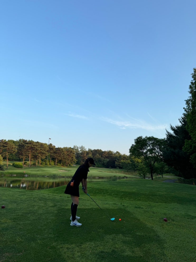 비거리와 스타일까지 여성 골퍼를 위한 고반발 골프채 vwx : 네이버 블로그