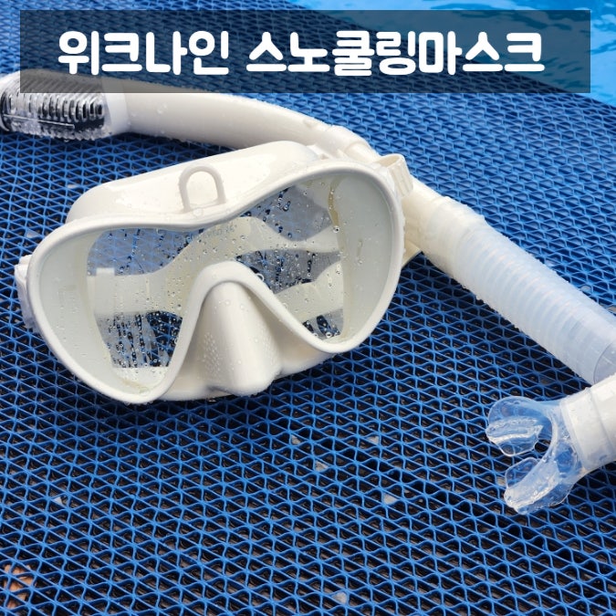 위크나인 스노쿨링마스크 추천 아쿠아터틀 프리다이빙 수영마스크 실사용후기 네이버 블로그