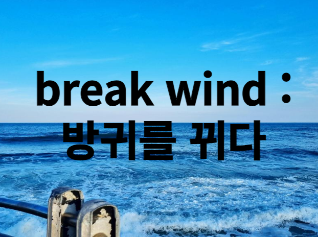 break wind 뜻 방귀를 뀌다 영어로 영어 이디엄 공부 : 네이버 블로그