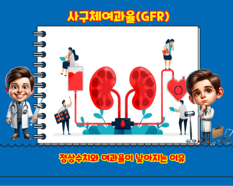 사구체여과율gfr 정상수치와 여과율이 낮아지는 이유 네이버 블로그