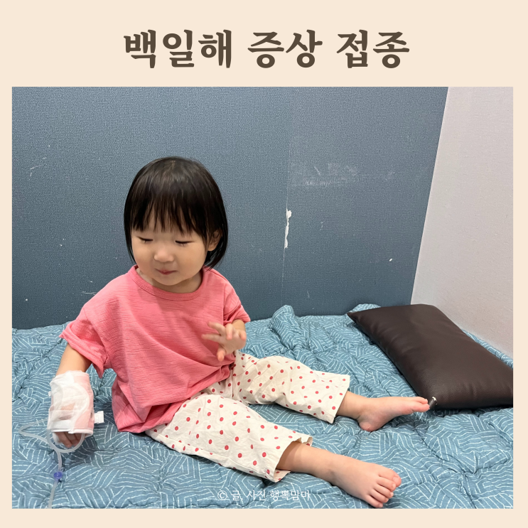 백일해 증상 예방접종 어린이집 어른 전염성 치료방법 네이버 블로그