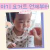 아기 요거트 언제부터 시기 양 만들기 방법 네이버 블로그
